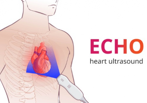 Echocardiogram Reads And Interpretations $45 Per Study
