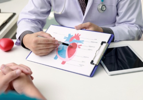 Echocardiogram Reads And Interpretations $45 Per Study